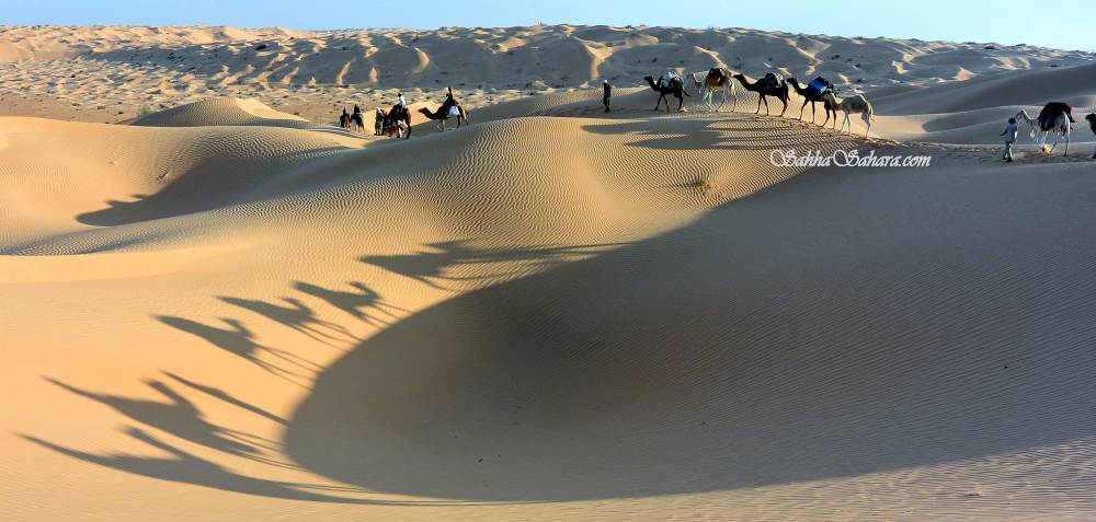 Caravan Silk Trade Route